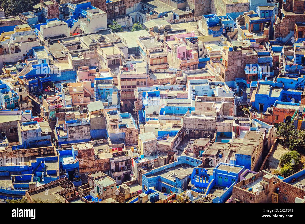 Jodhpur the Blue city, Rajasthan, India Stock Photo - Alamy