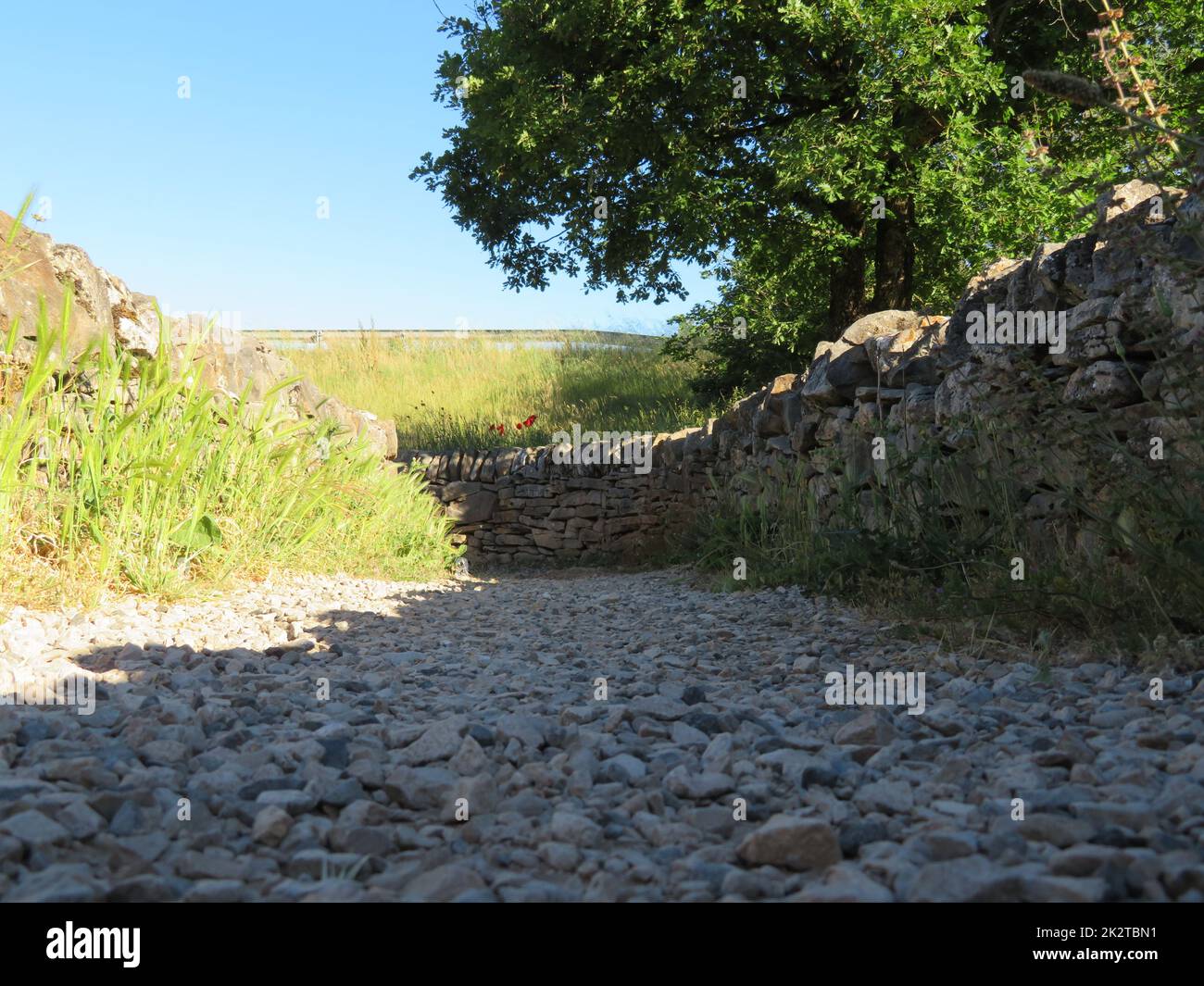 stone walk path route travel walk get there Stock Photo - Alamy