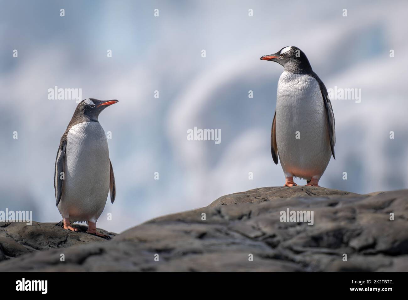 Stand by each other hi-res stock photography and images - Alamy