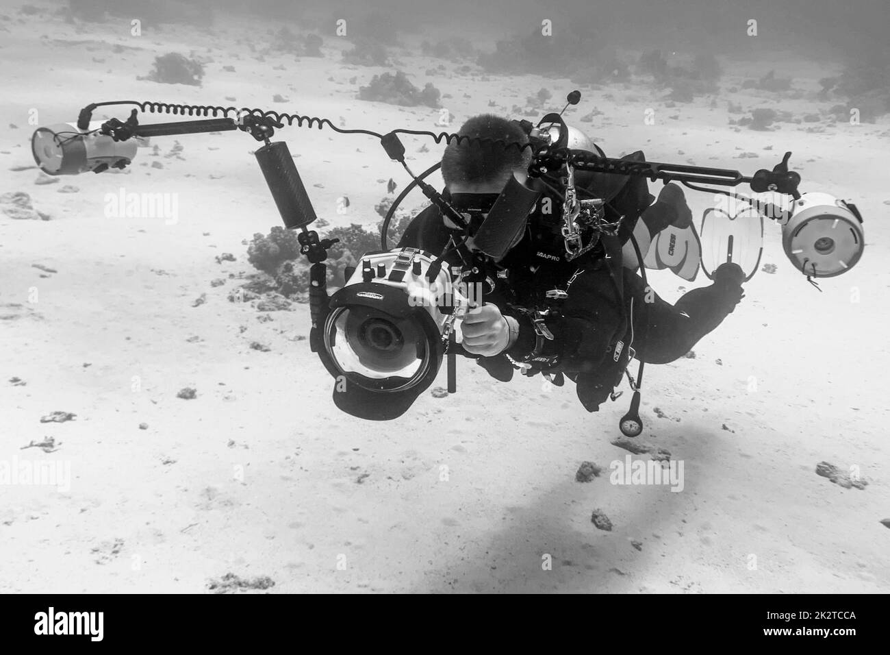 A photographer taking pictures under the sea Stock Photo - Alamy