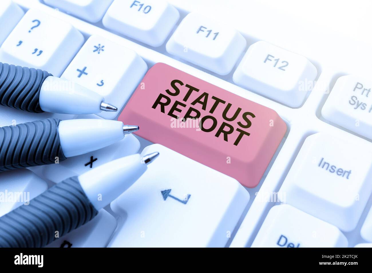 Text caption presenting Status Report. Business idea Update Summary of ...