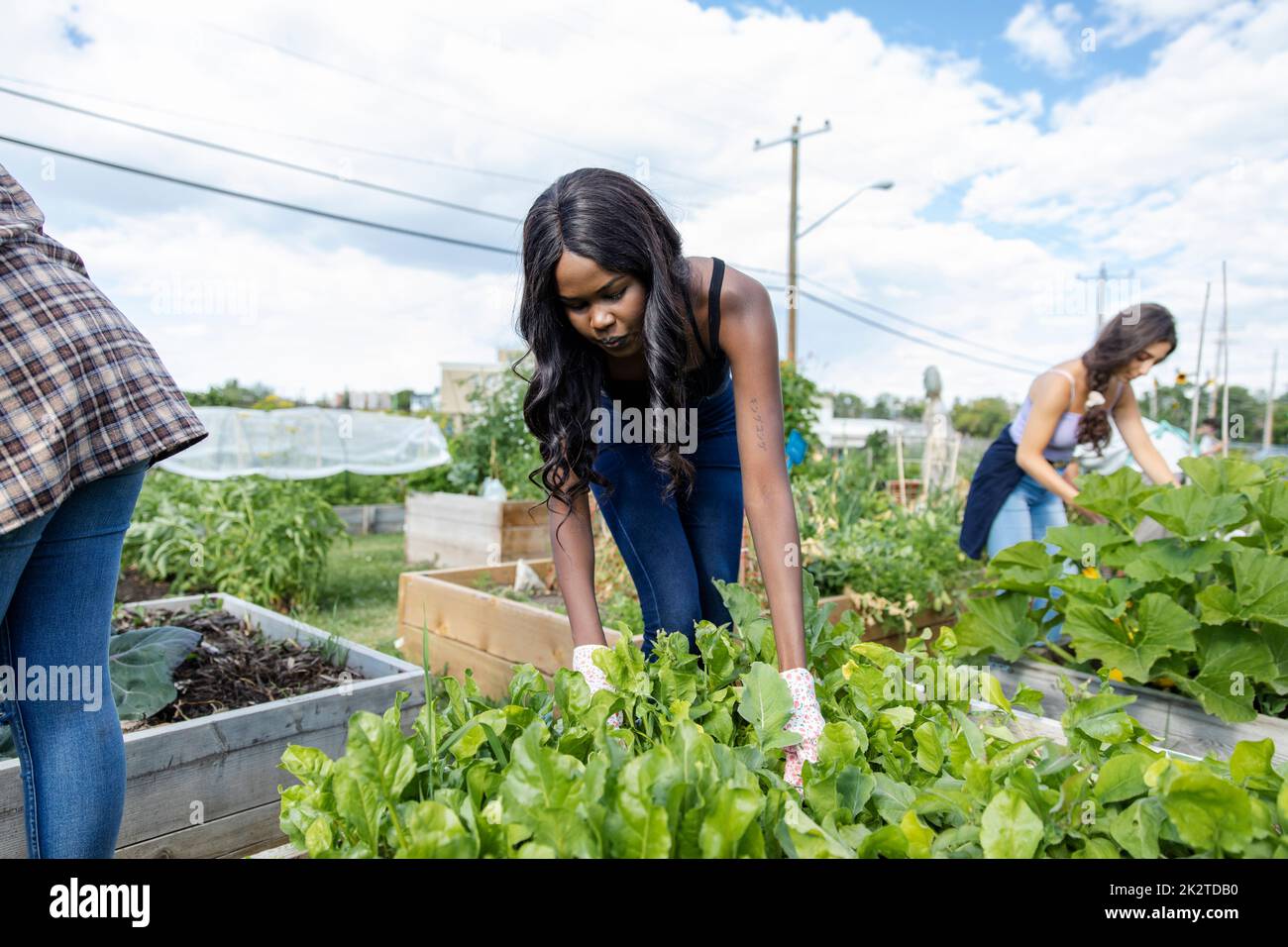 Working with community hi-res stock photography and images - Alamy