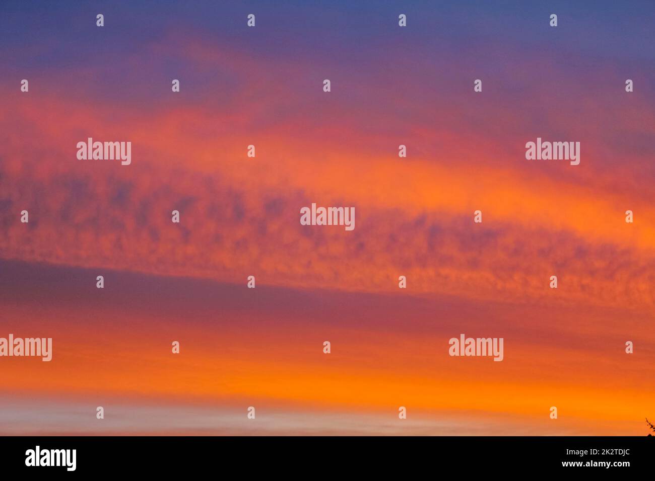 Amazing colorful pink violet blue and purple sunset sky panorama Stock ...