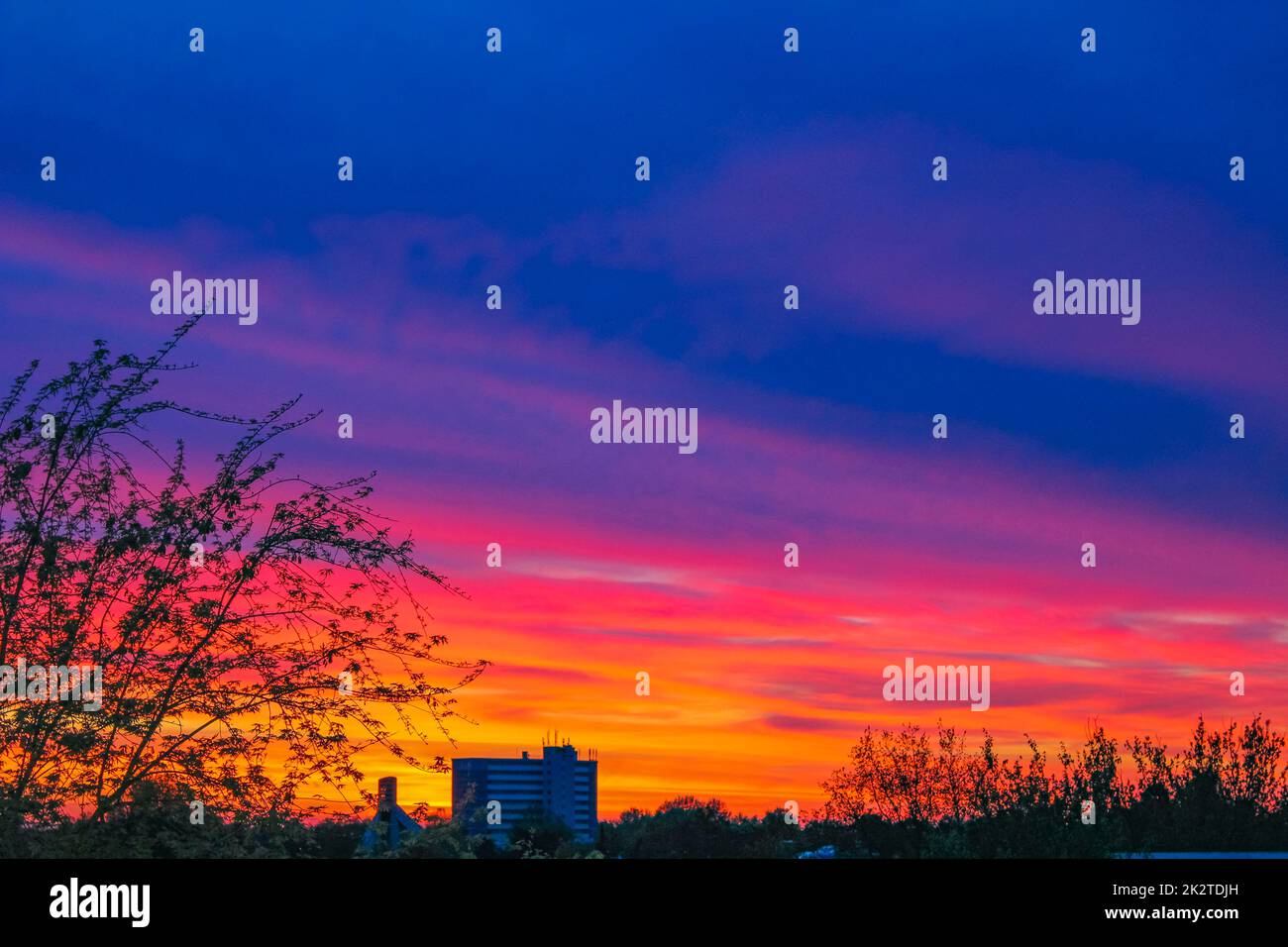 Amazing colorful pink violet blue and purple sunset sky panorama Stock ...