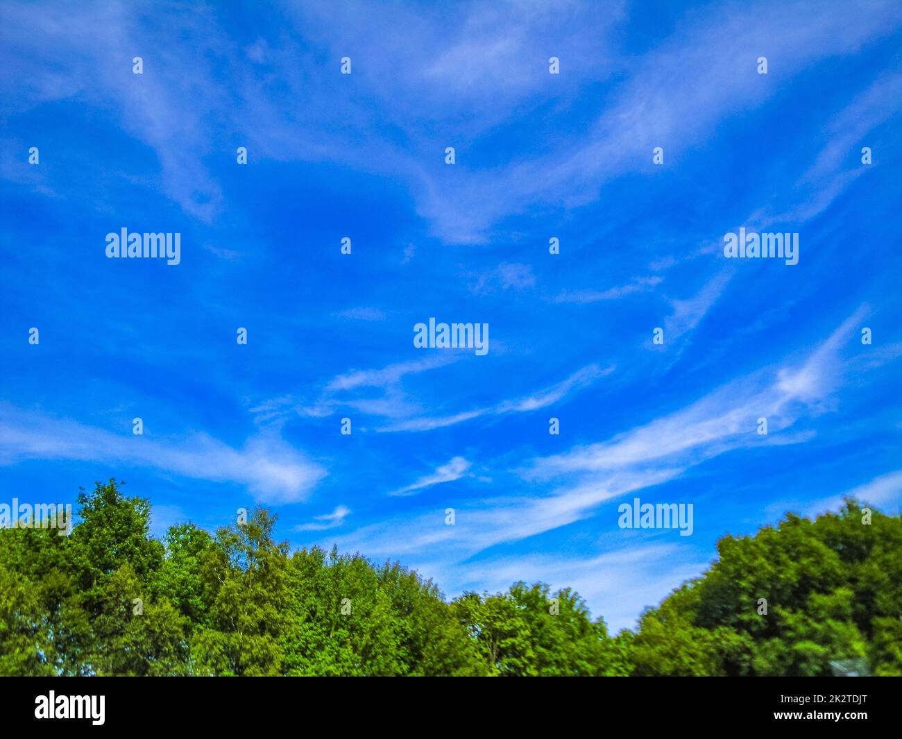 Chemical Vapor Cloud
