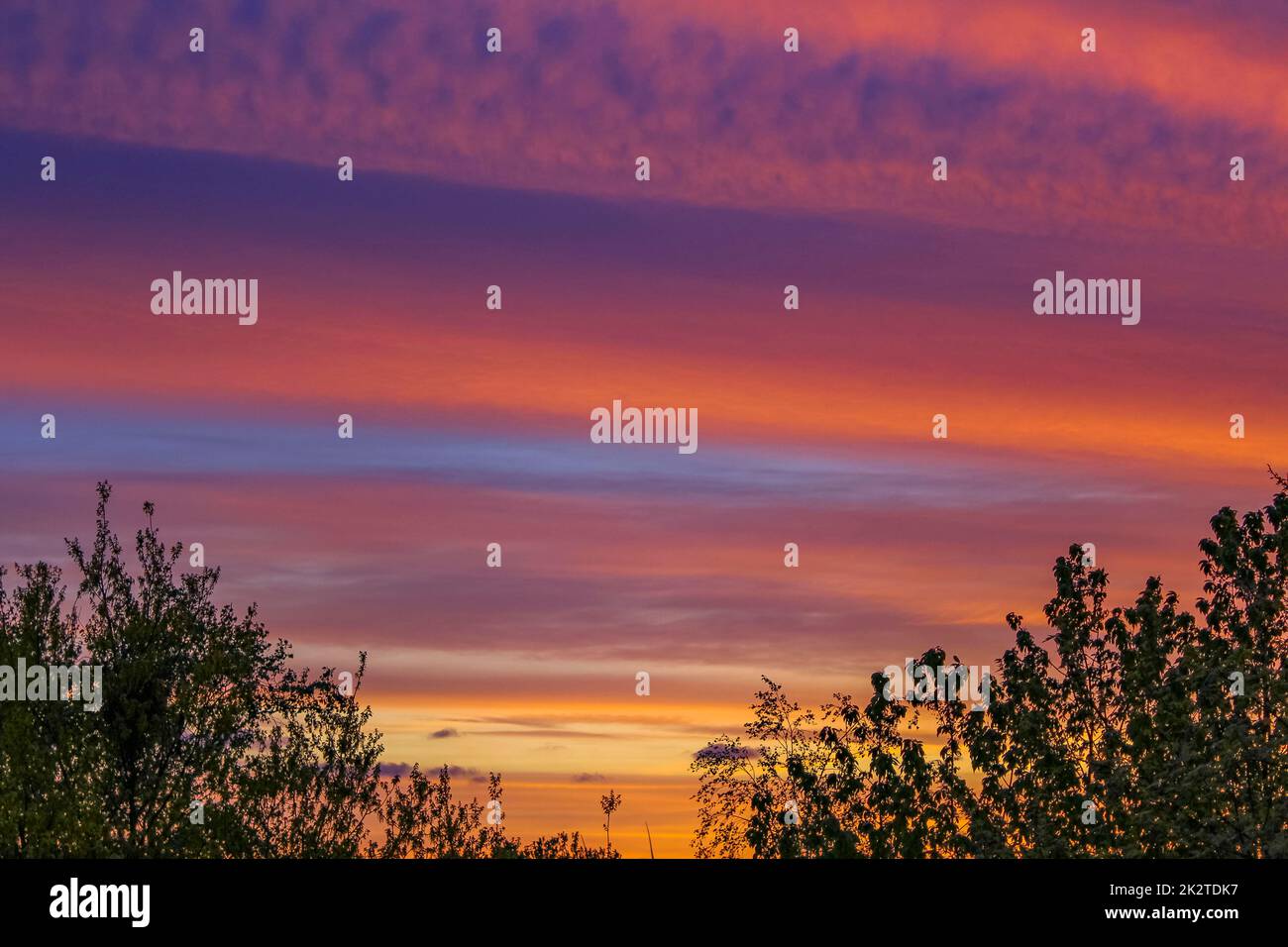 Amazing colorful pink violet blue and purple sunset sky panorama Stock ...