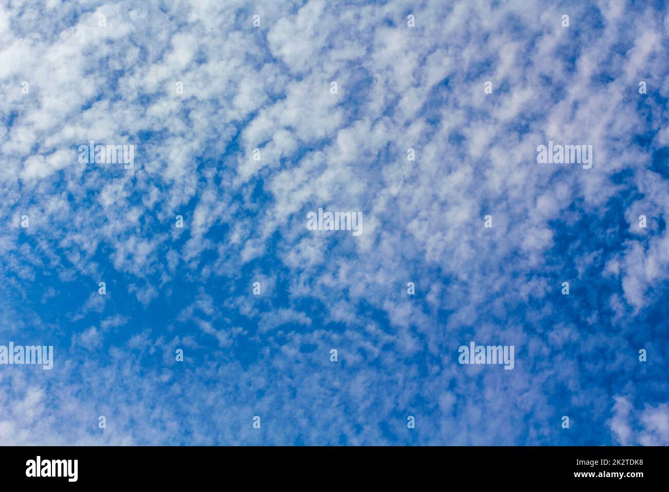 Chemical Vapor Cloud