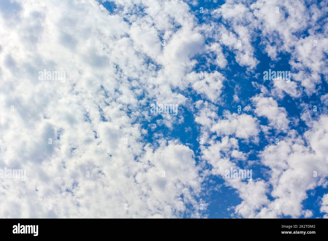 Blue sky with chemical clouds chemtrails on sunny day Germany Stock Photo - Alamy