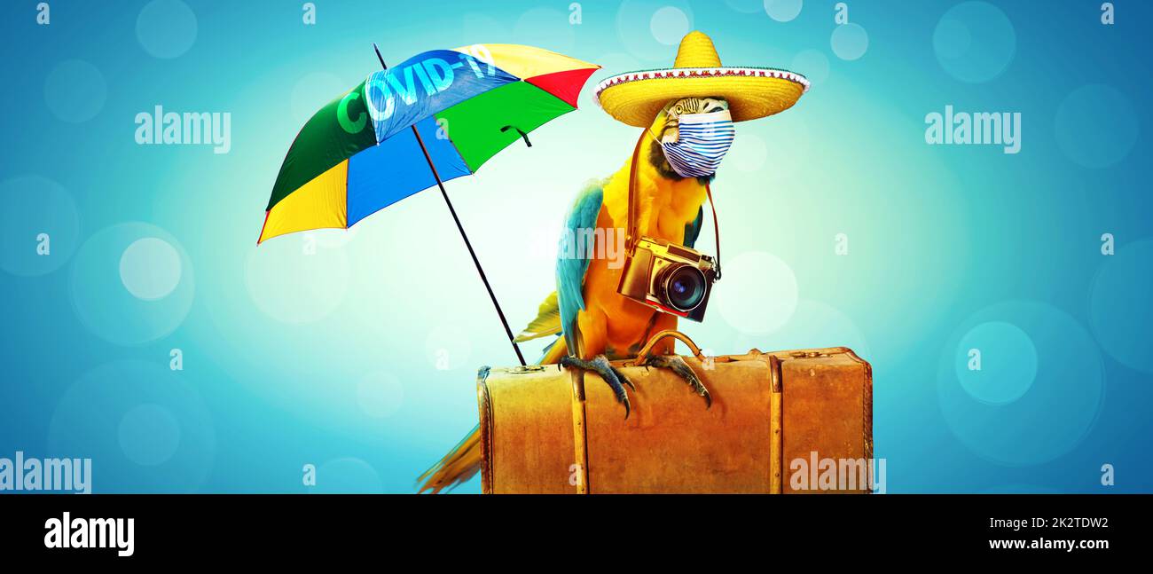 Macaw parrot with medical mask on vacation Stock Photo - Alamy