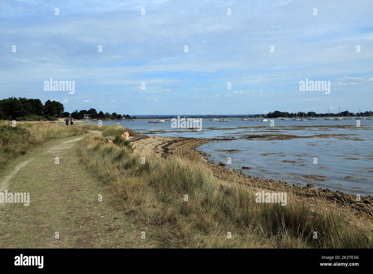 View along coastal footpath towards bay of Plage Rudevent, Ile d'Arz ...