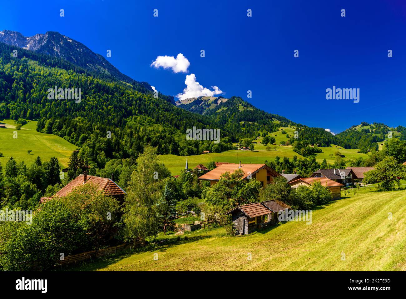 Houses and green meadows, Darstetten, Frutigen-Niedersimmental, Bern ...