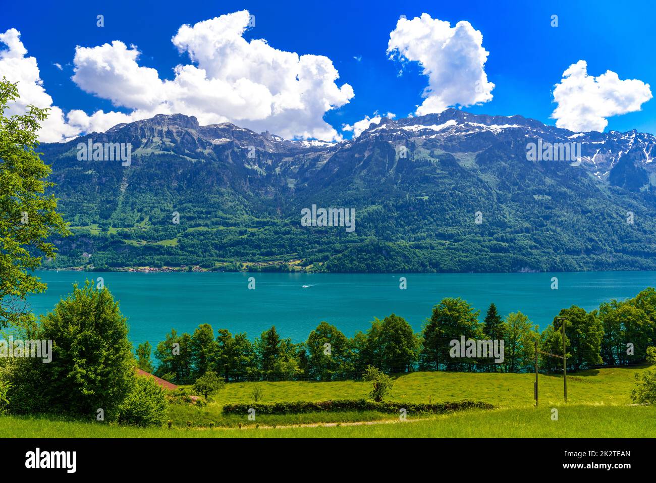 Clear transparent azure Lake Brienz, Oberried am Brienzersee ...