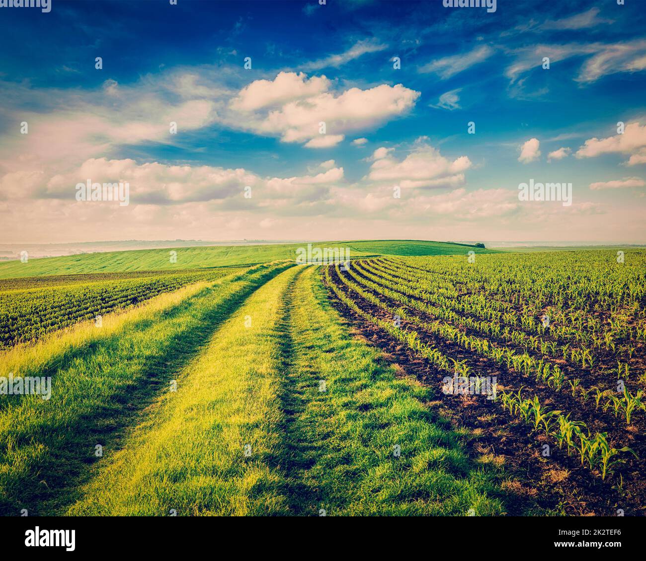 Rolling process hi-res stock photography and images - Alamy