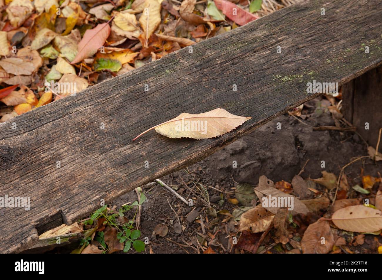 Old park bench fallen hi-res stock photography and images - Alamy
