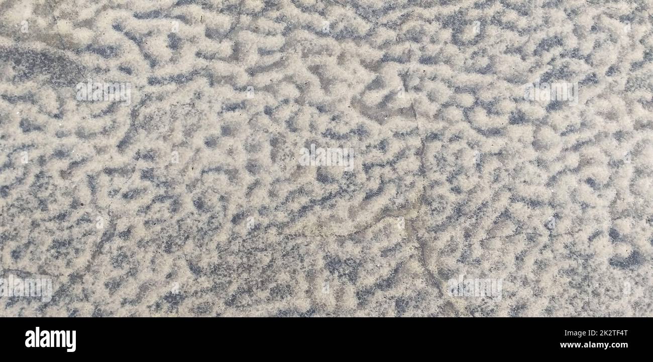 abstract winter background: frost patterns on the ground Stock Photo ...