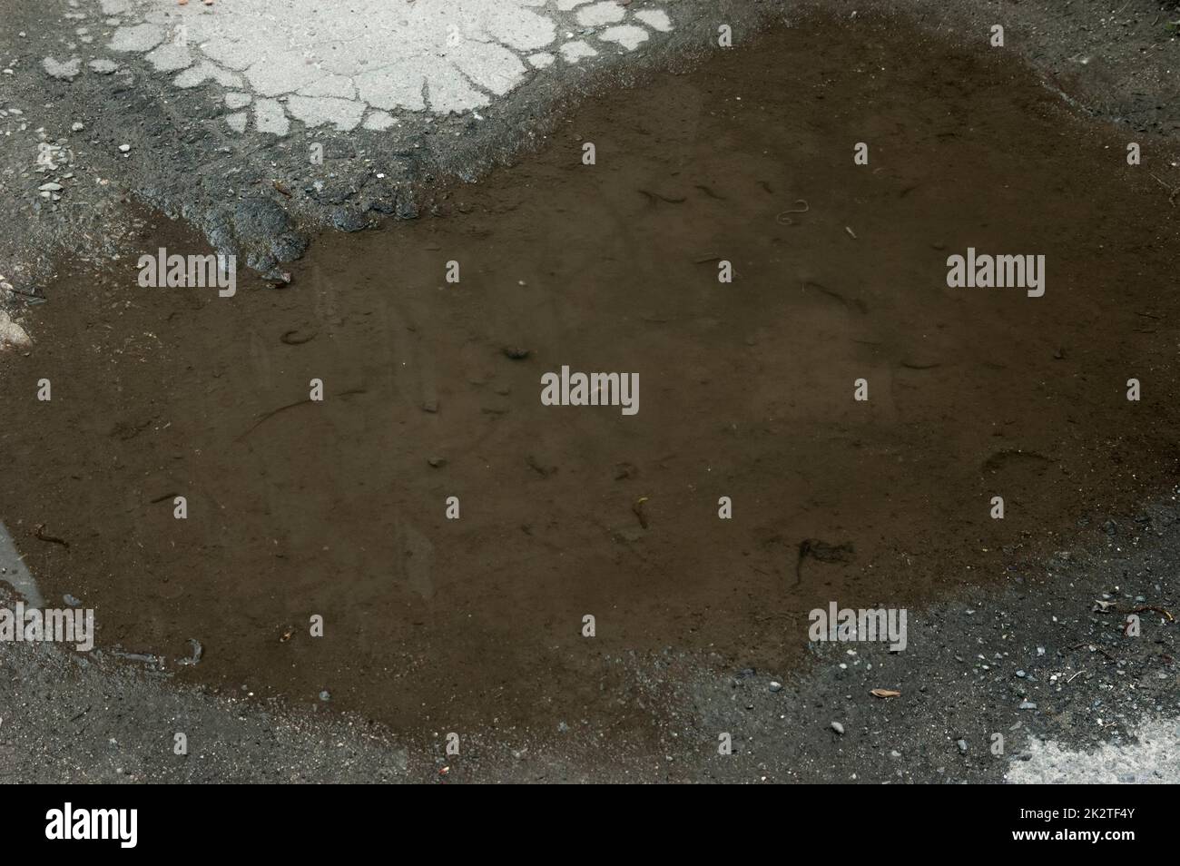 a deep puddle in the cracked asphalt Stock Photo - Alamy