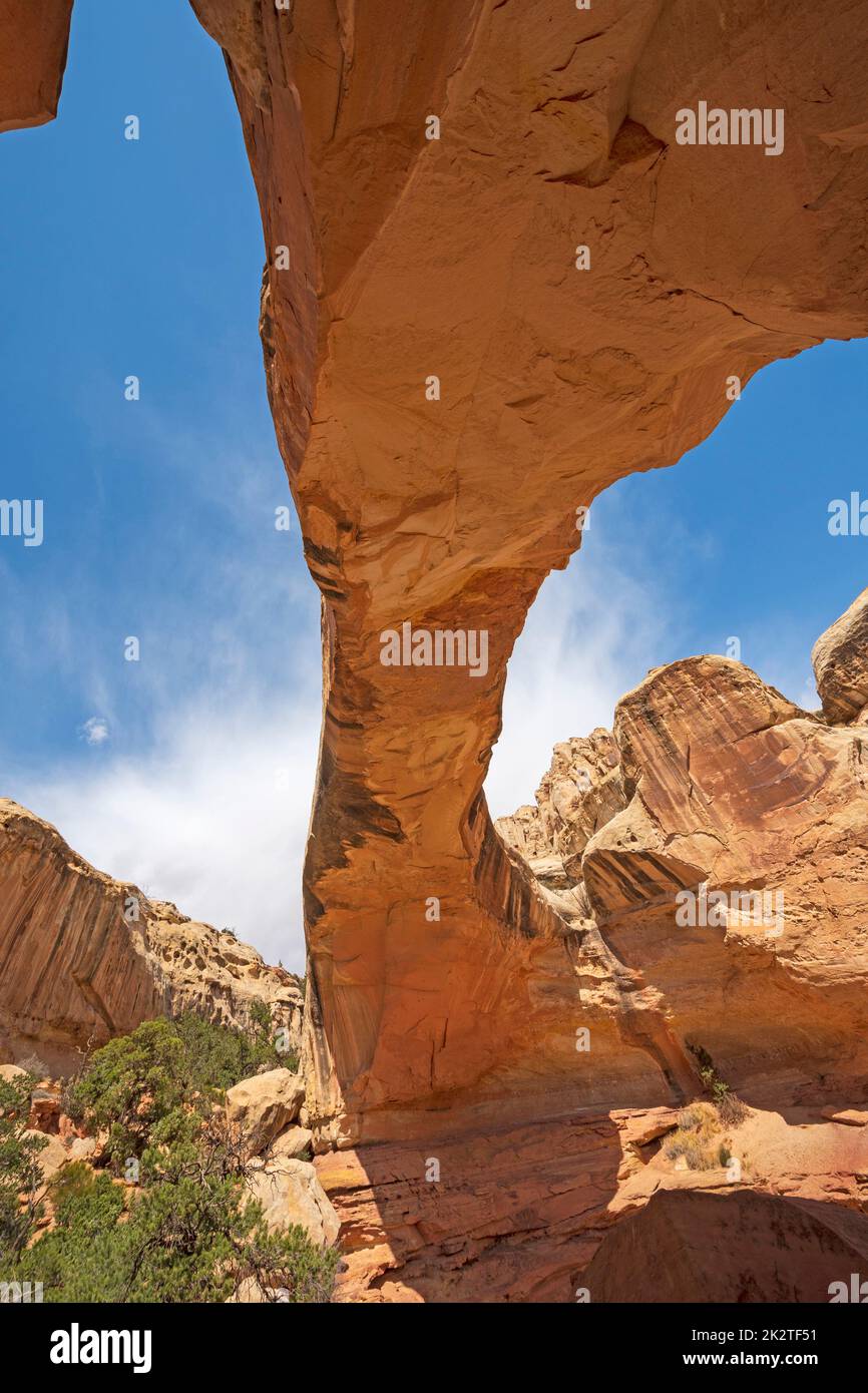 Looking Up At a Sandstone Natural Bridge Stock Photo - Alamy