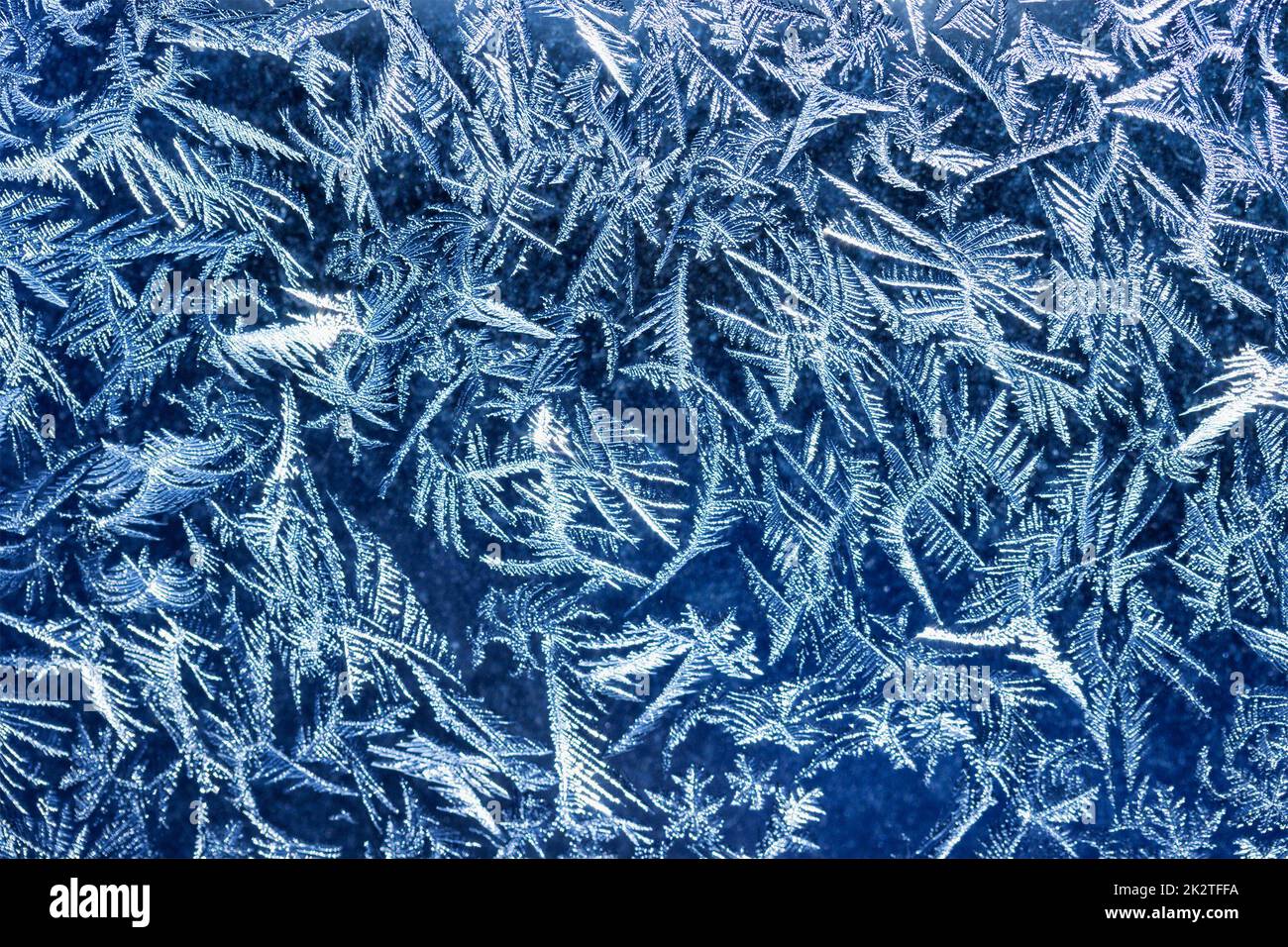 Translucent frost hi-res stock photography and images - Alamy