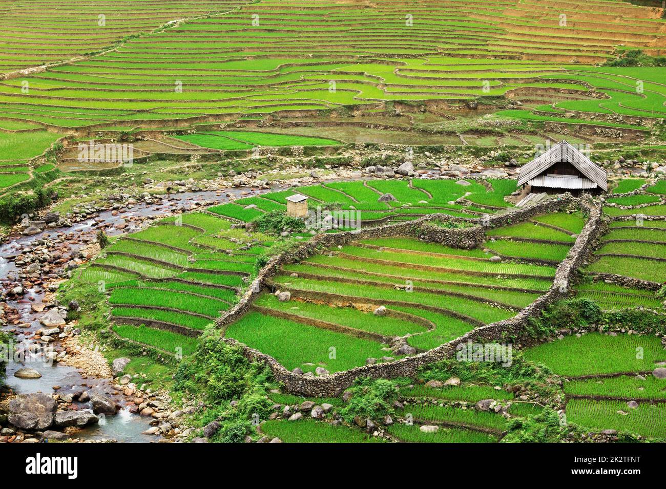 Rice field terraces Stock Photo - Alamy