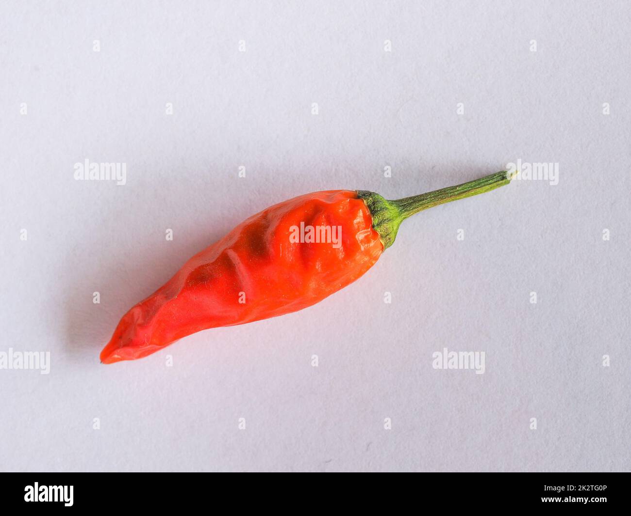 Chili Pepper Capsicum Stock Photo - Alamy