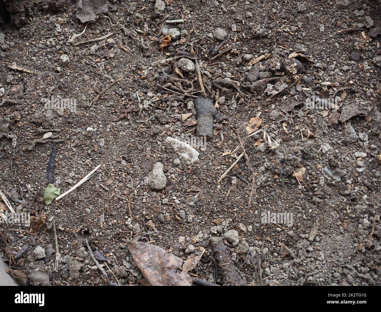 brown earth texture background Stock Photo - Alamy