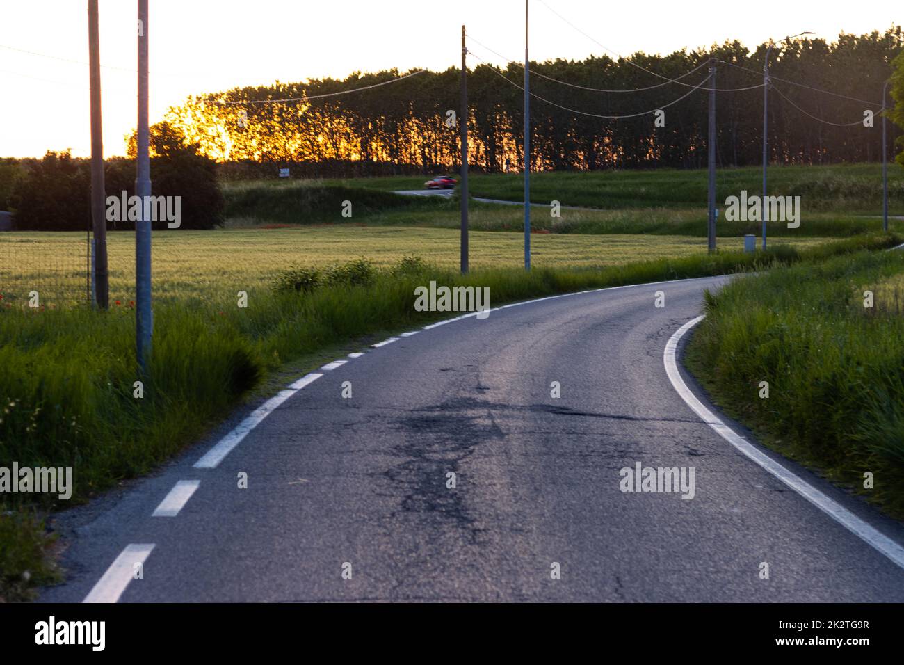 Rural road in barley cereal crop field in spring Stock Photo - Alamy
