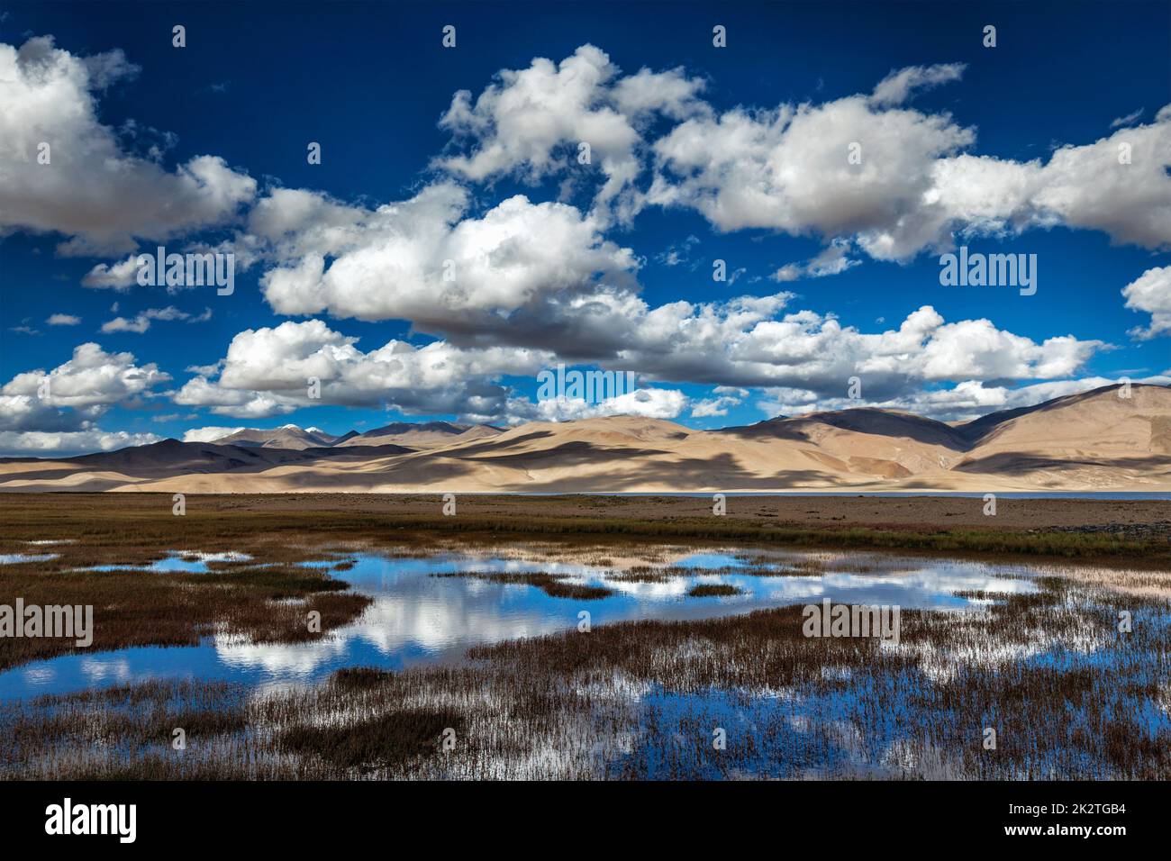 Lake Tso Moriri in Himalayas. Ladakh, India Stock Photo - Alamy