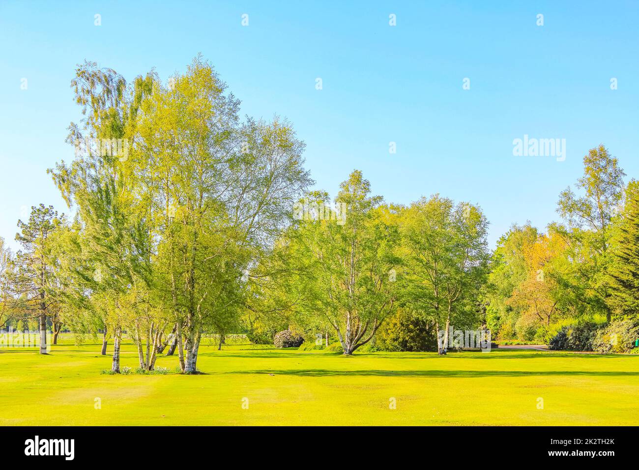Natural panorama view with pathway green plants trees forest Germany ...