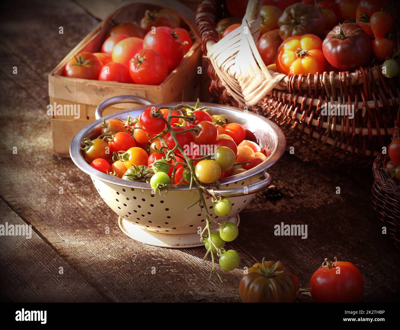 Heirloom variety tomatoes in baskets on rustic table. Colorful tomato ...