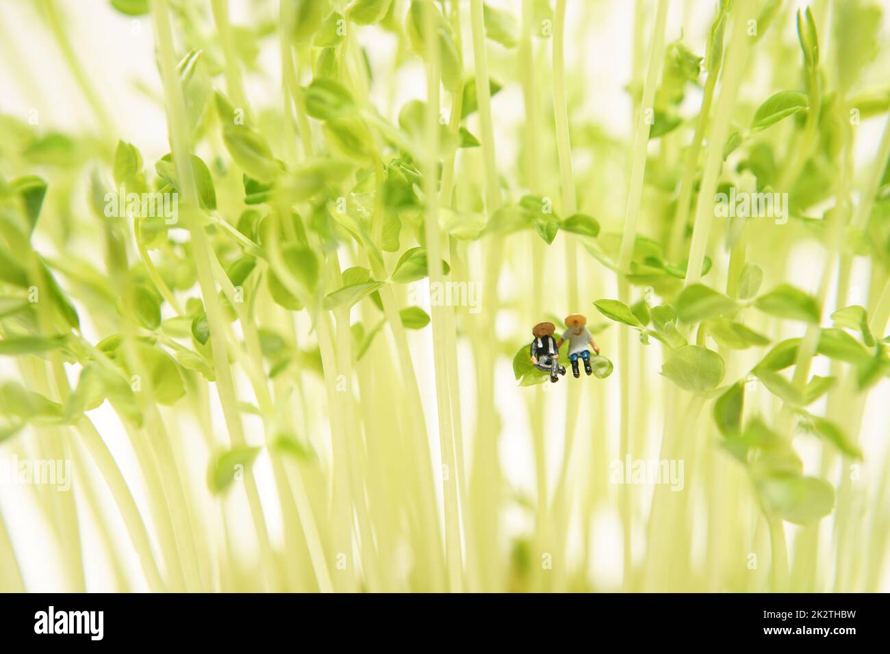 Very small person hi-res stock photography and images - Alamy