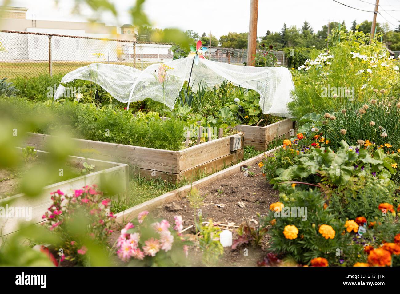 Cover vegetables with netting hi-res stock photography and images - Alamy