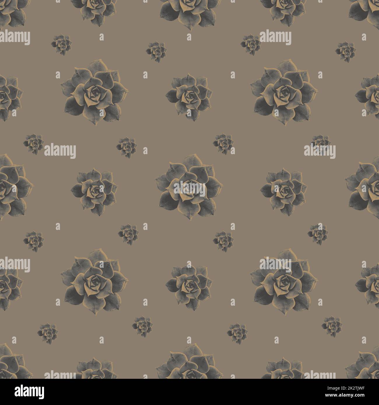 Stylized motif hi-res stock photography and images - Alamy