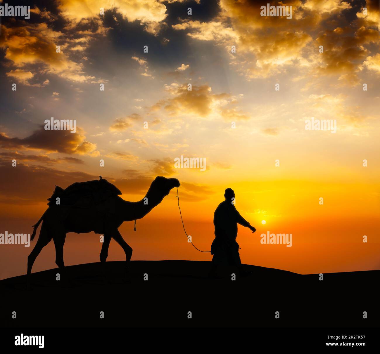 Cameleer camel driver with camels in desert dunes Stock Photo - Alamy