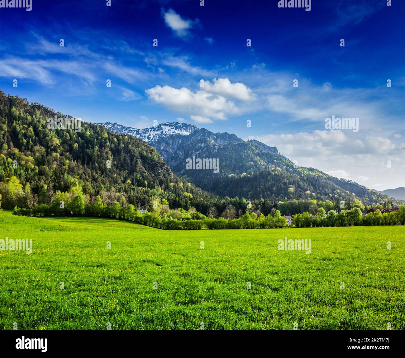 Alpine meadow in bavaria hi-res stock photography and images - Alamy