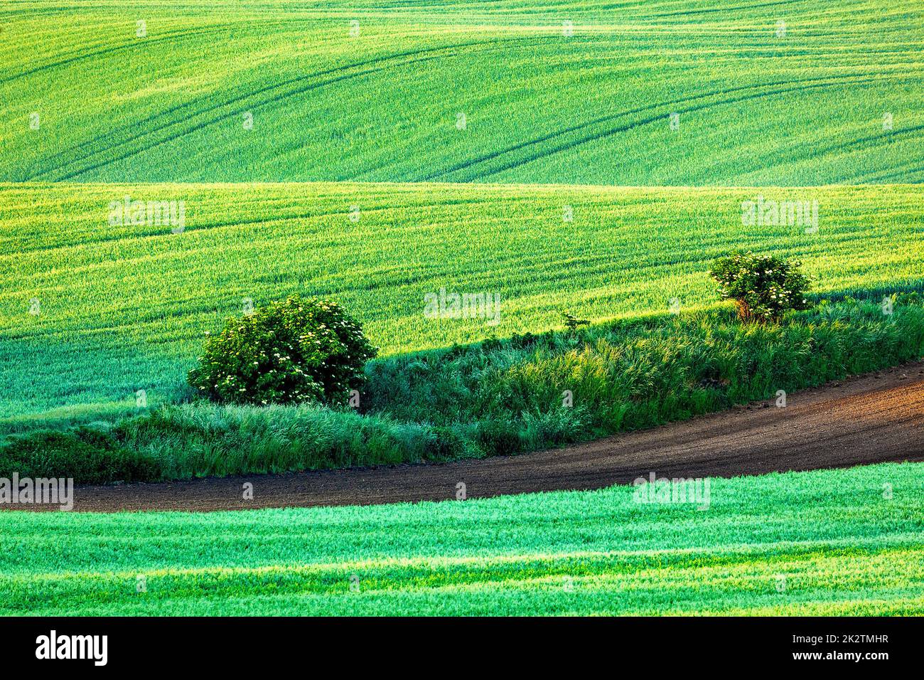 Rolling landscape of South Moravia in the morning Stock Photo - Alamy