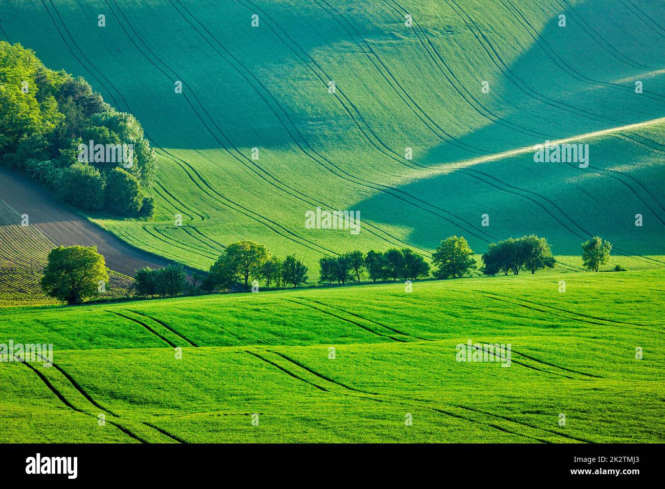 Rolling summer landscape of Moravia Stock Photo - Alamy