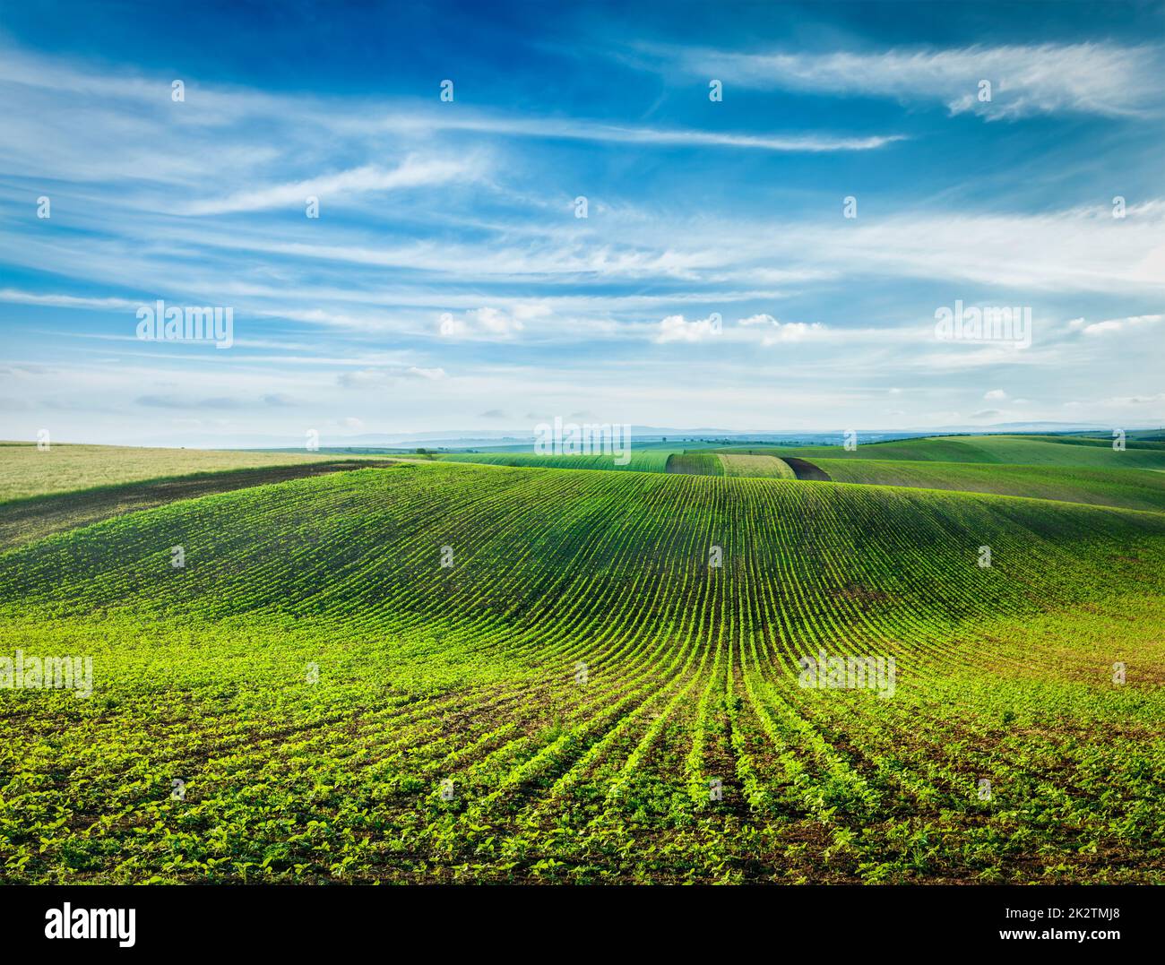 Rolling fields of Moravia Stock Photo - Alamy