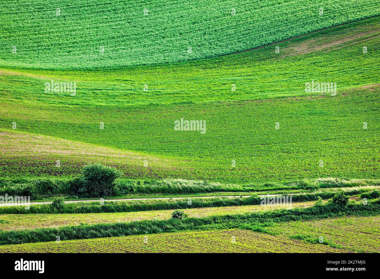 Rolling fields hi-res stock photography and images - Alamy