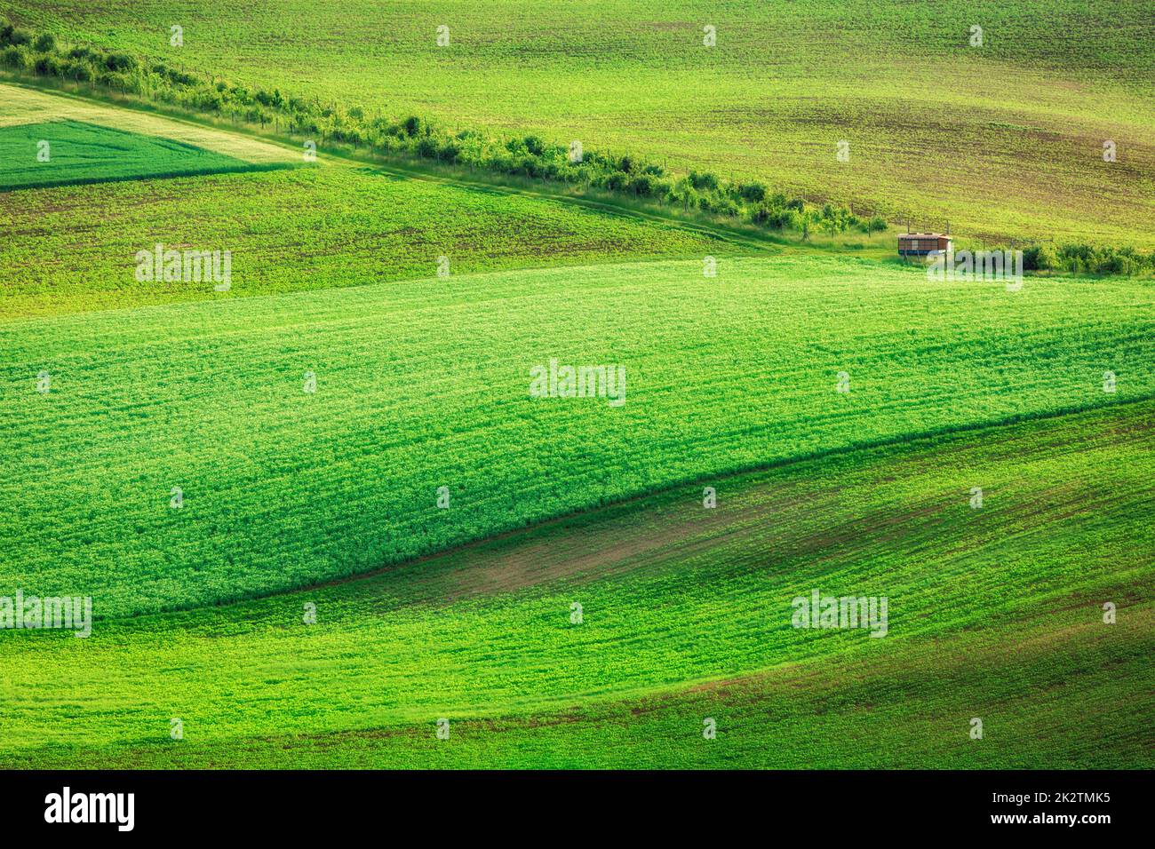 Rolling landscape of South Moravia Stock Photo - Alamy