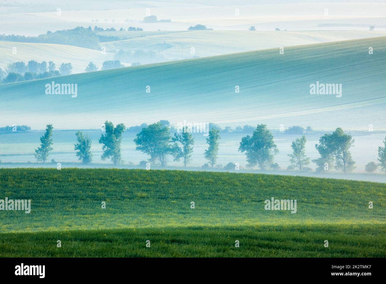 Grass early morning ploughed field hi-res stock photography and images ...