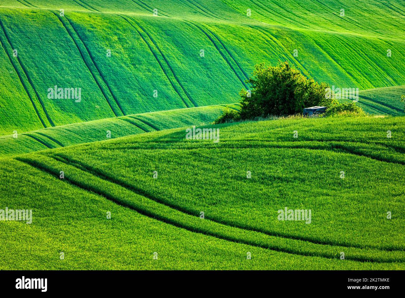 Rolling hills ploughed farm hi-res stock photography and images - Alamy