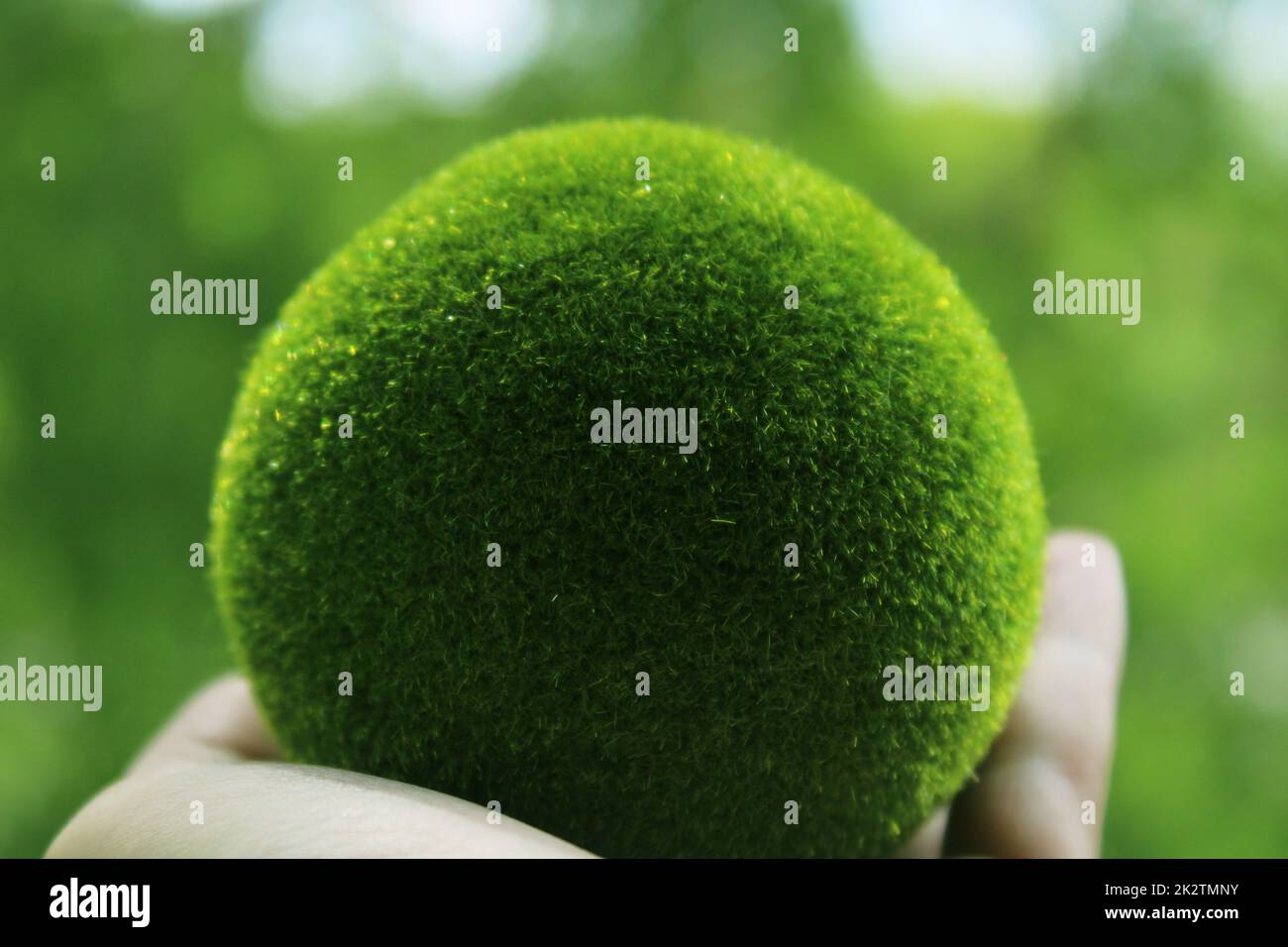 A green grass ball in his hand in close-up on a green background. Earth ...