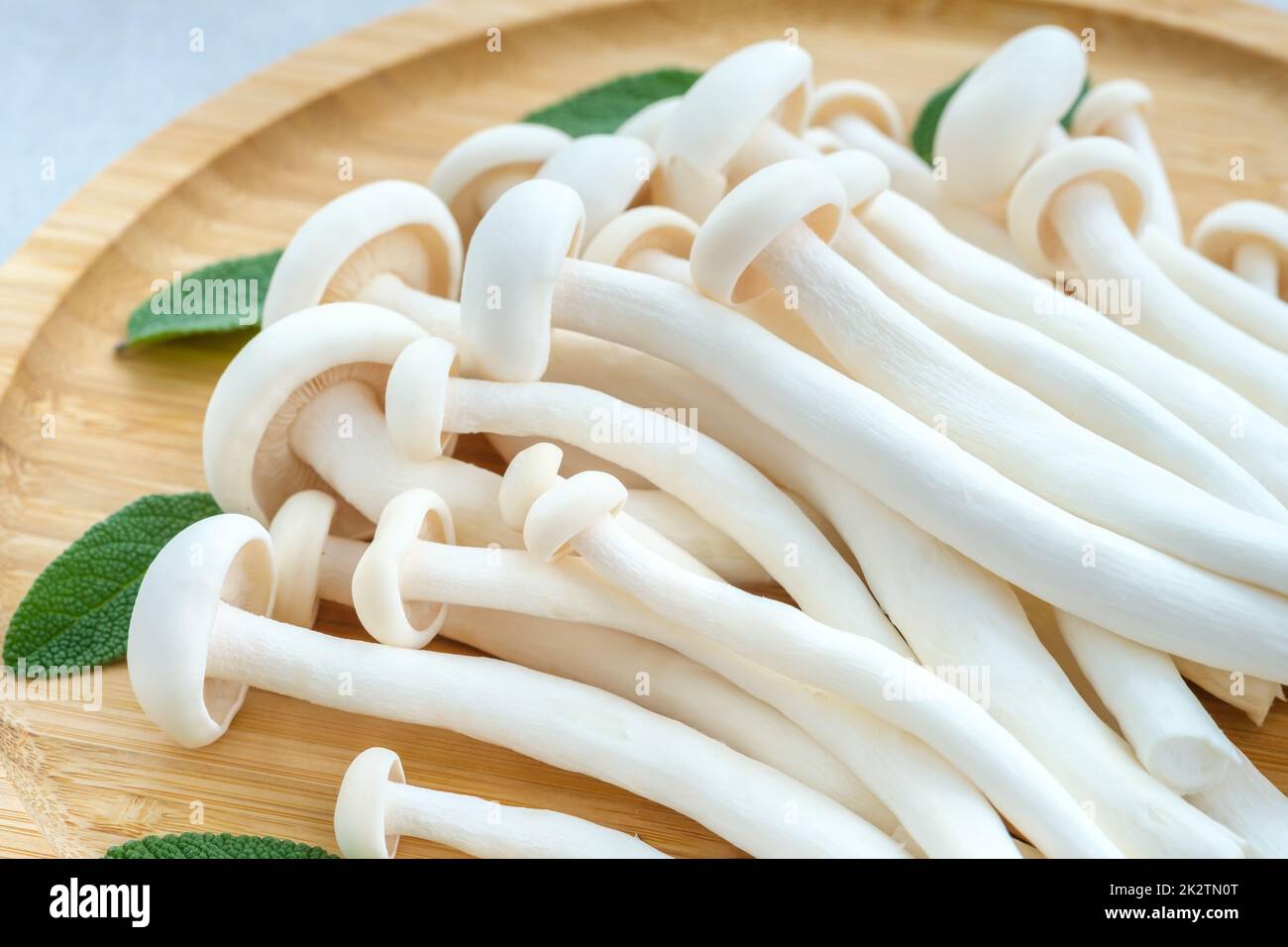 Shimeji white beech mushrooms Stock Photo - Alamy