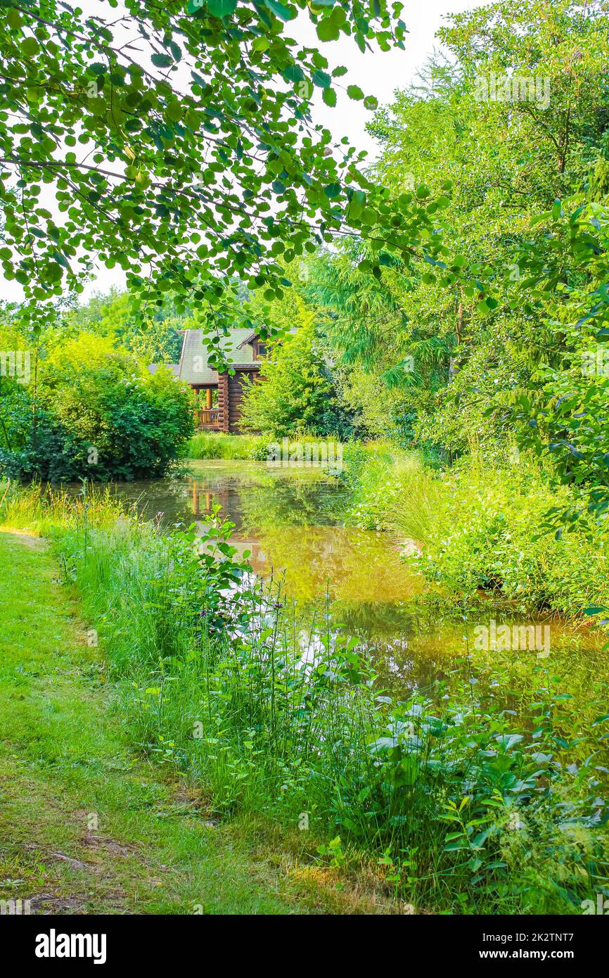 Natural panorama view with river green plants trees forest Germany ...