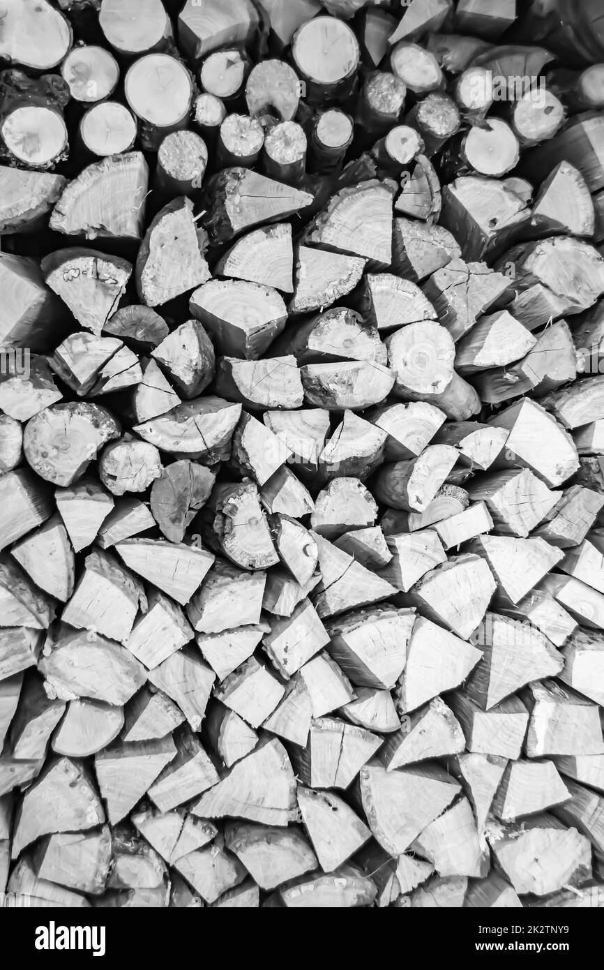 Tree log photo hi-res stock photography and images - Alamy
