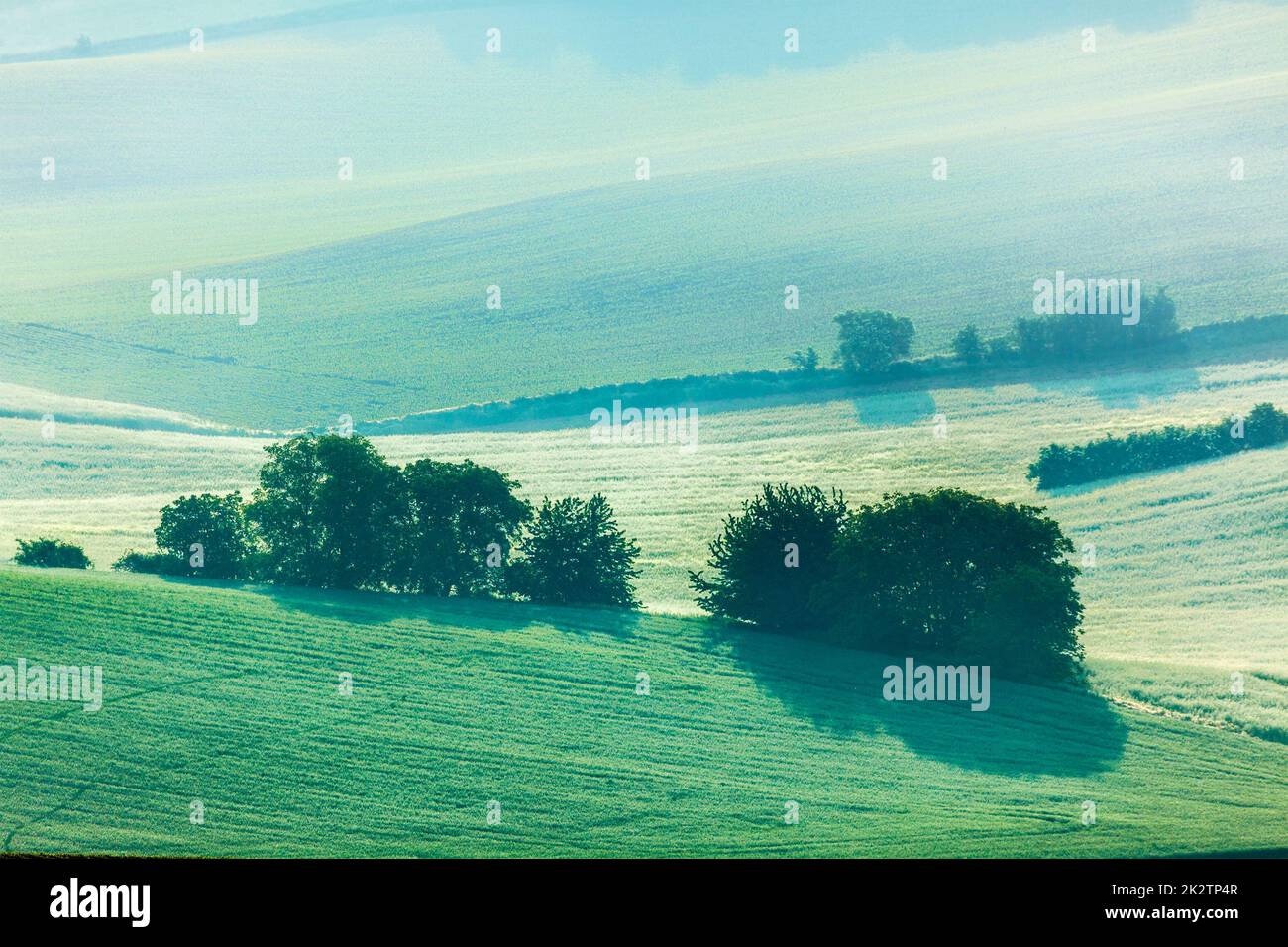 Moravian rolling fields in morning mist Stock Photo - Alamy