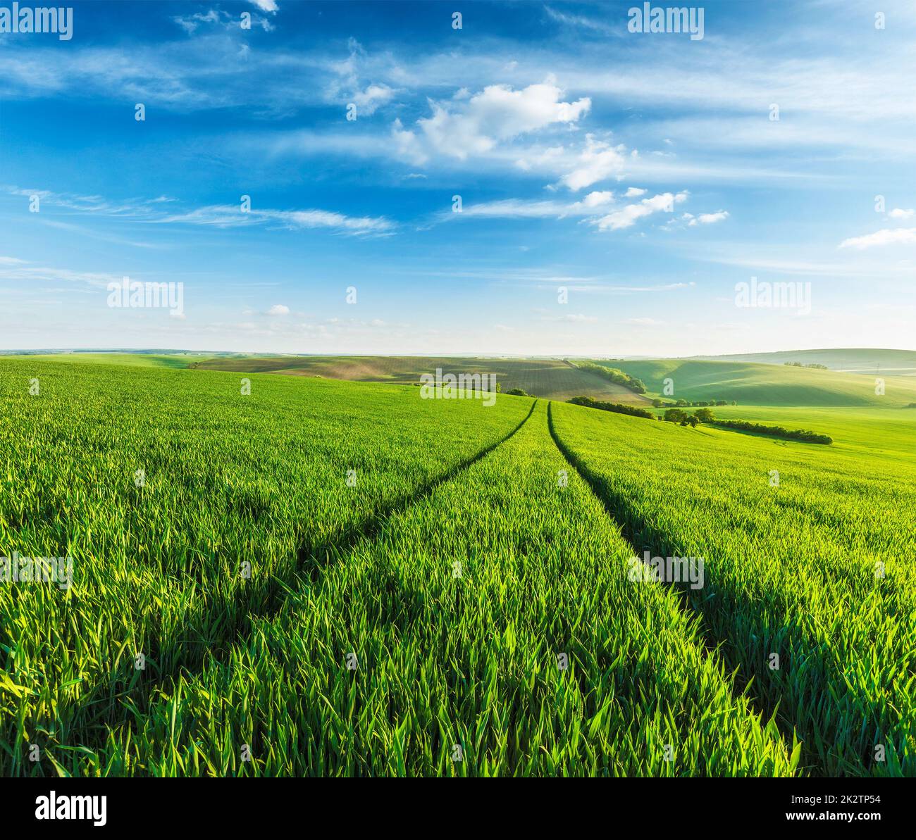 Beautiful rolling green hill grass hi-res stock photography and images ...