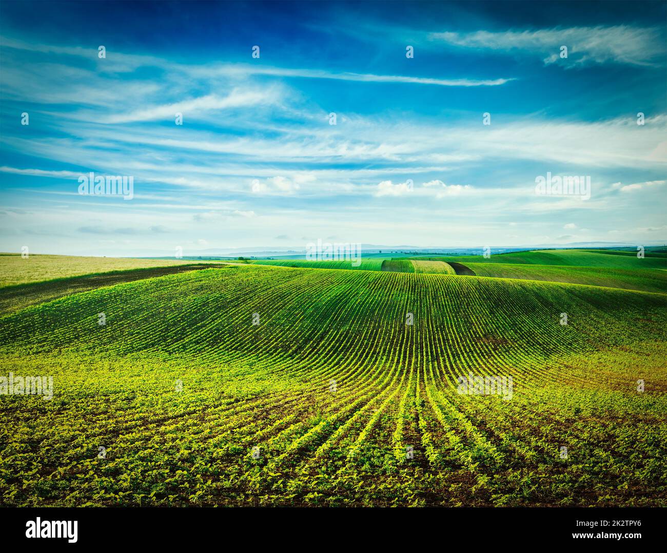 Rolling fields of Moravia Stock Photo - Alamy