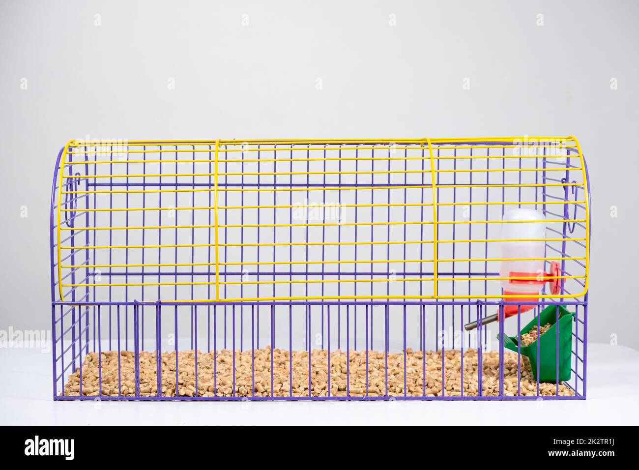 Guinea pig plastic cage hi-res stock photography and images - Alamy