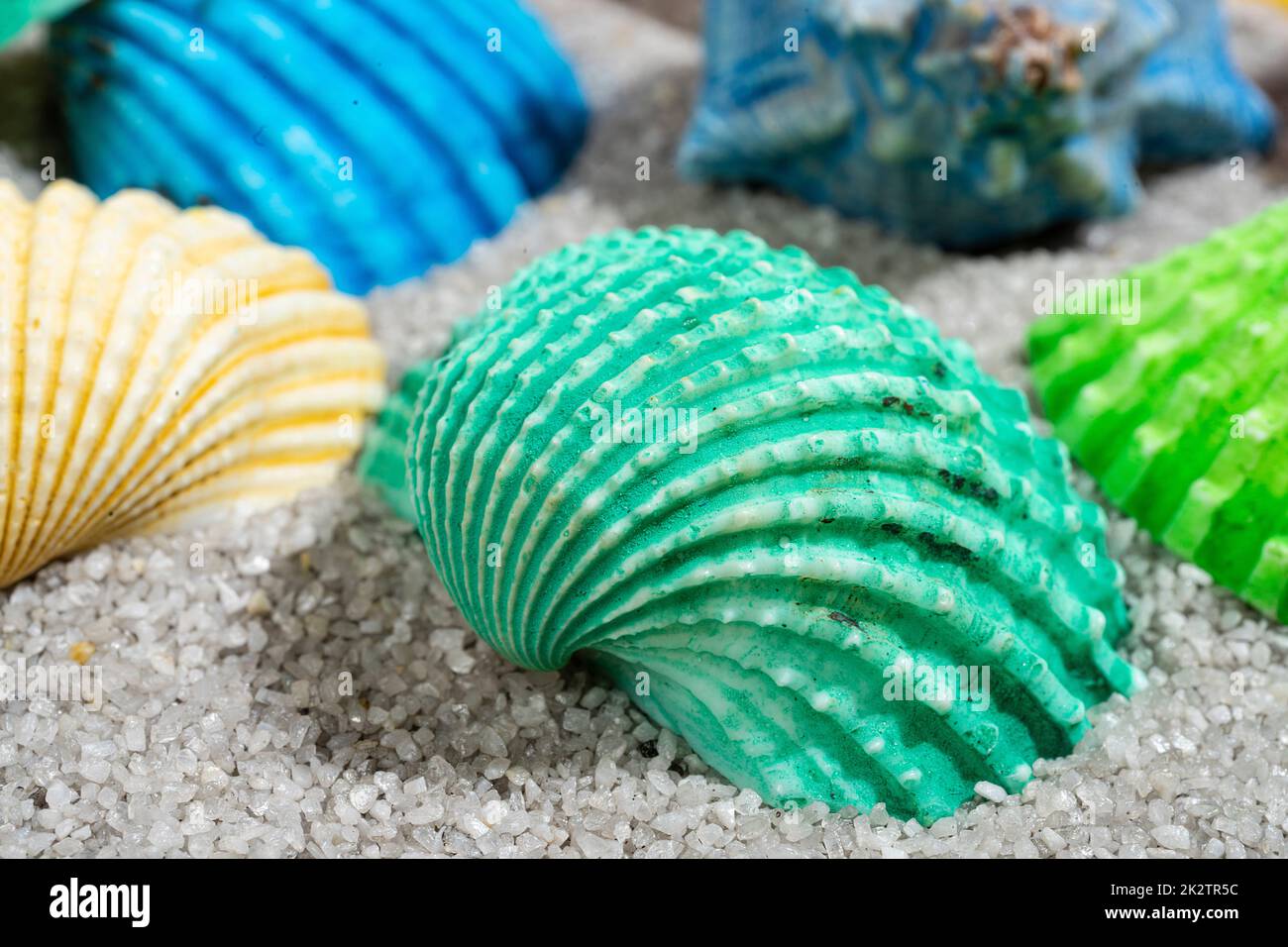 Colorful shells hi-res stock photography and images - Alamy